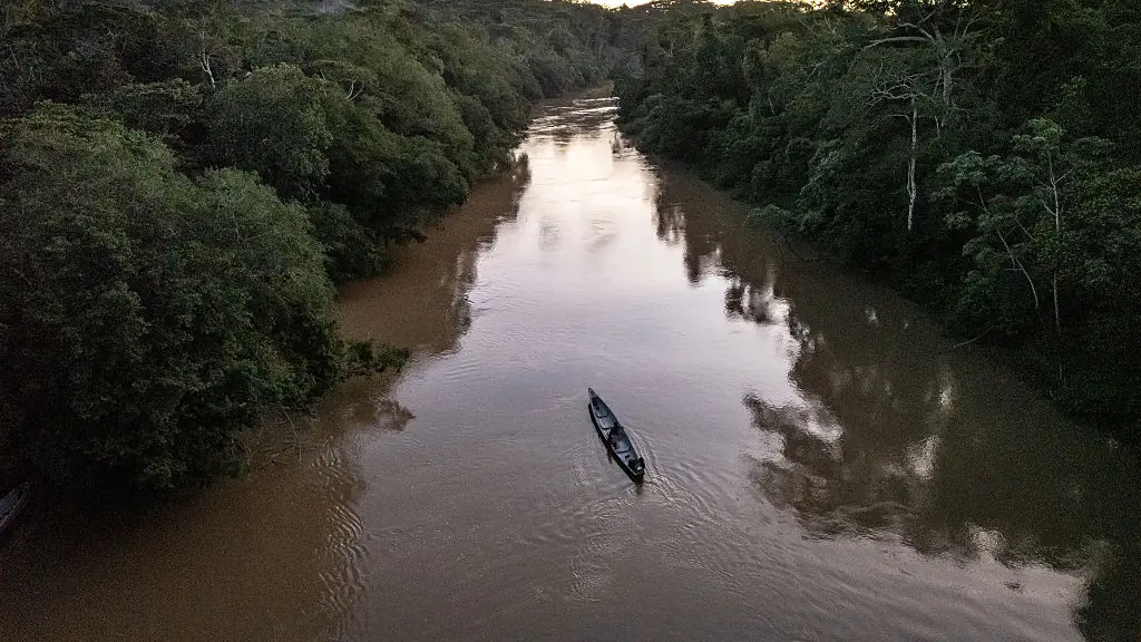 Never-before-seen footage of uncontacted Amazonian tribe sparks bizarre ...