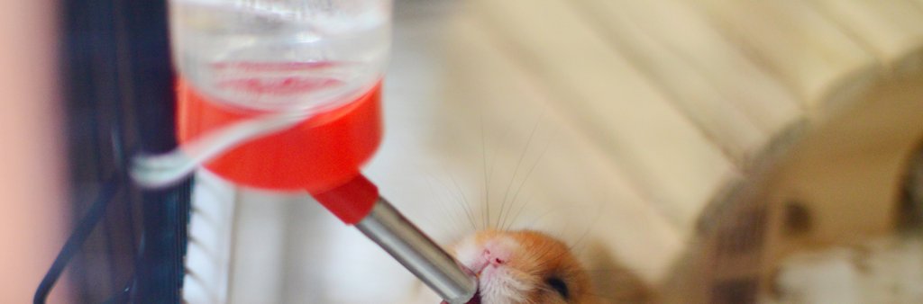 'Hamstering' sex trend explained as couples have started doing it in ...