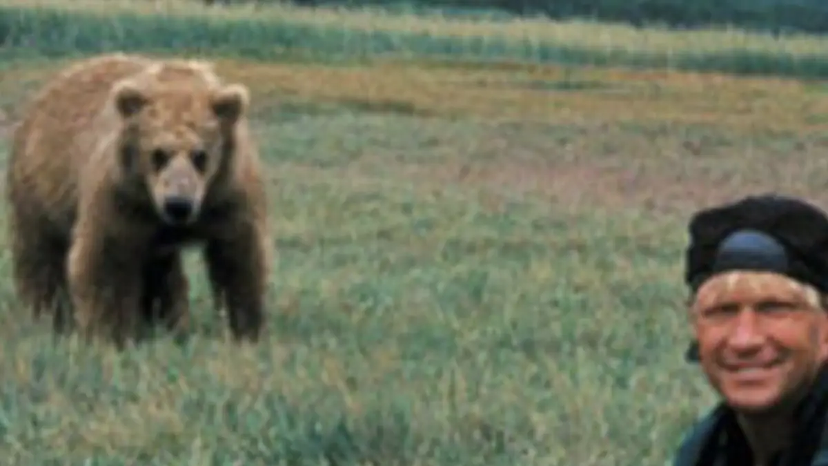 Screaming couple eaten alive by grizzly bear and final words were ...