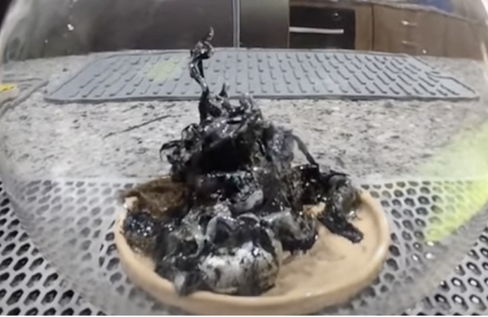 Viral video shows 'alien' growing out of a meteorite