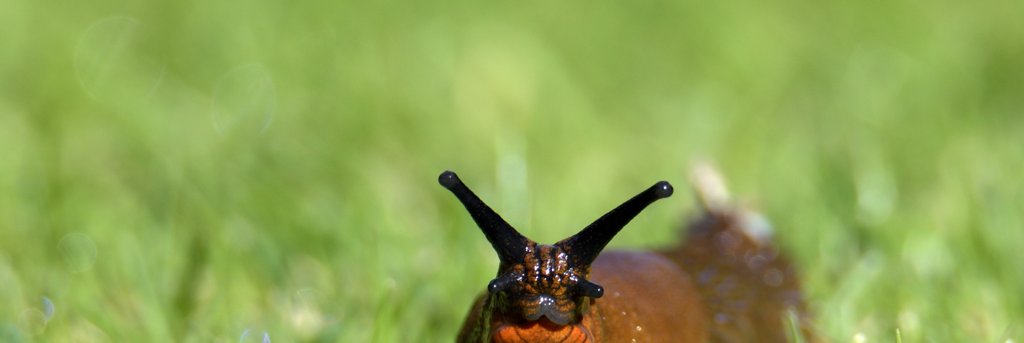 Terrifying Simulation Shows What Happened To A Teenager Who Was Dared ...