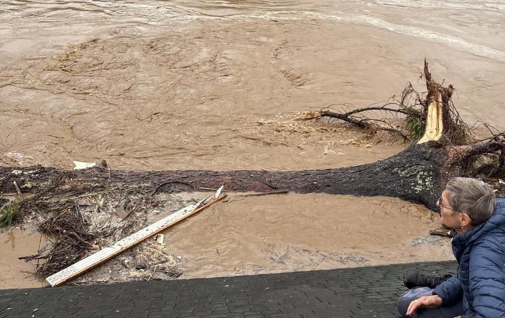 Family Pays Tribute To Grandparents And Grandson, 7, After They Were ...